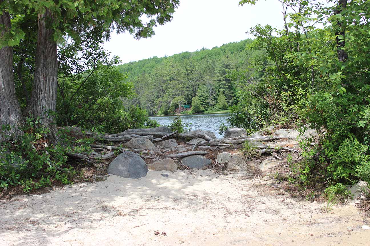 A little beach on Mink Lake, great little spot for swimming. : r ...