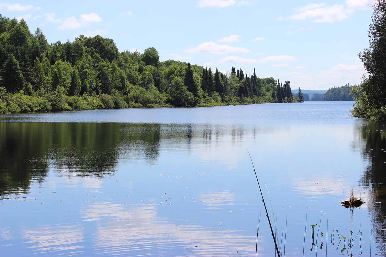 A really nice long look south down Mink Lake from the portage at the North End. : r/algonquinpark